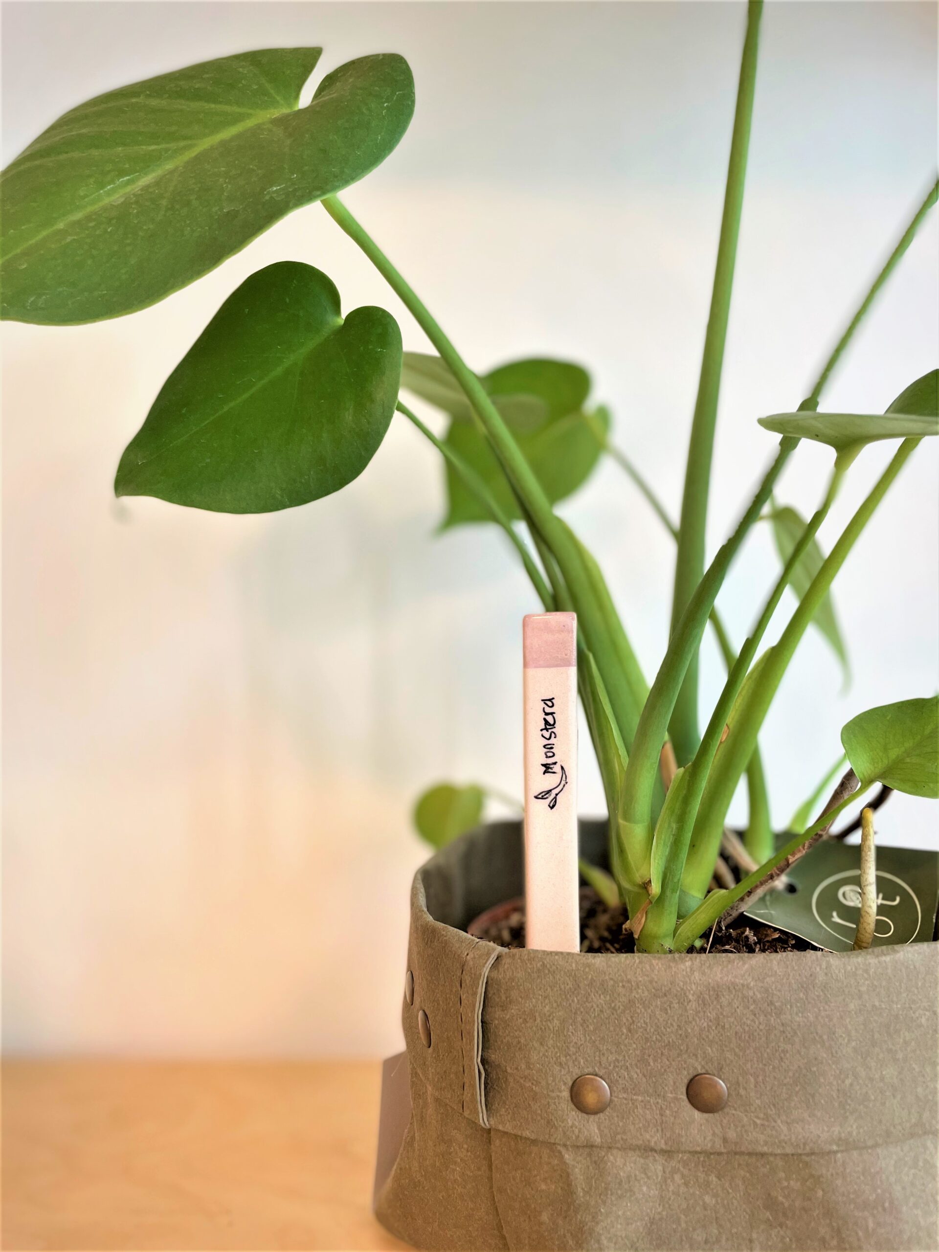 Root Atelier | Design Architecture Communication