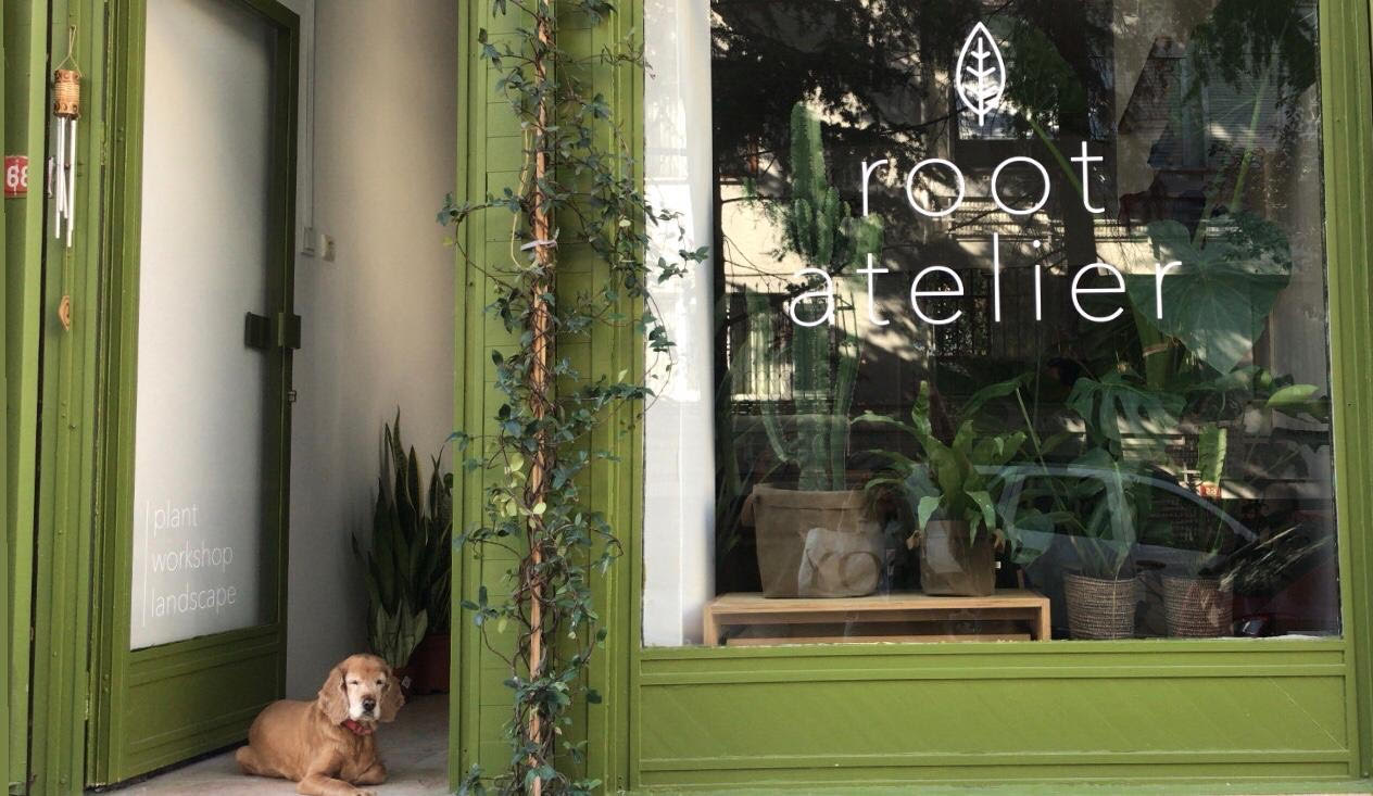 Root Atelier | Design Architecture Communication