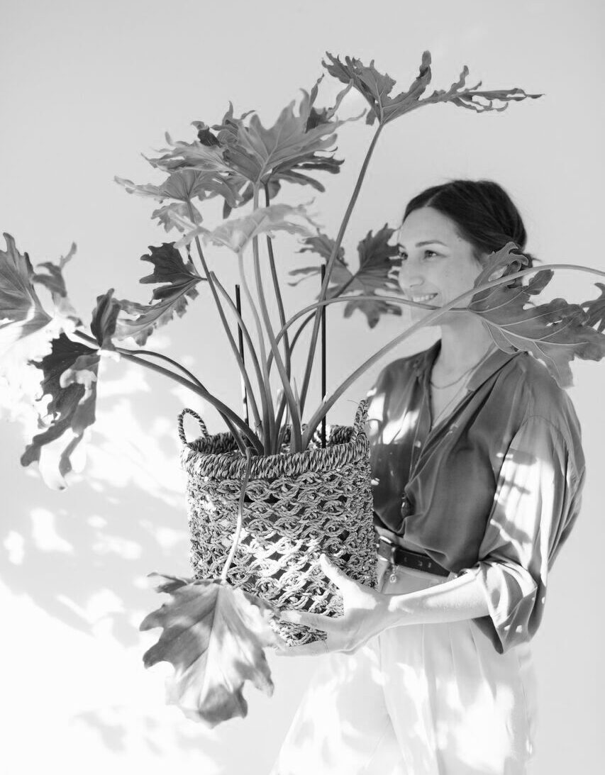 Root Atelier | Design Architecture Communication