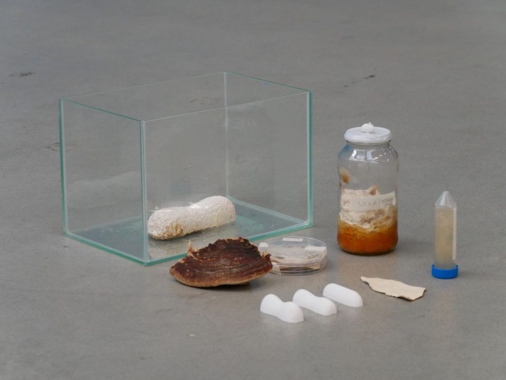 Loop Biotech | Design Architecture Communication