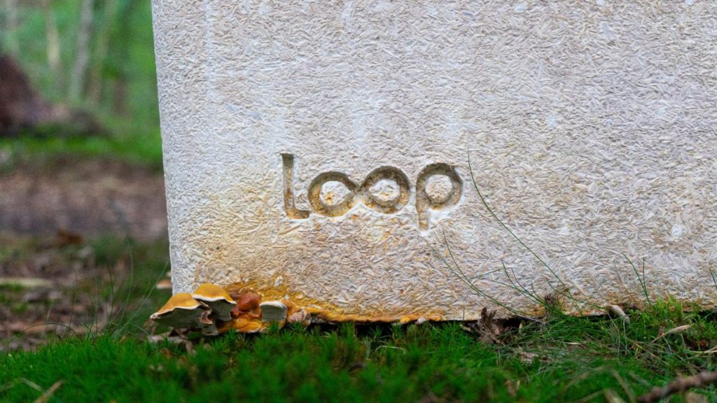Loop Biotech | Design Architecture Communication